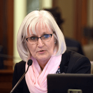 Tracy Katz Muhl for Illinois State Representative District 57 – Working ...